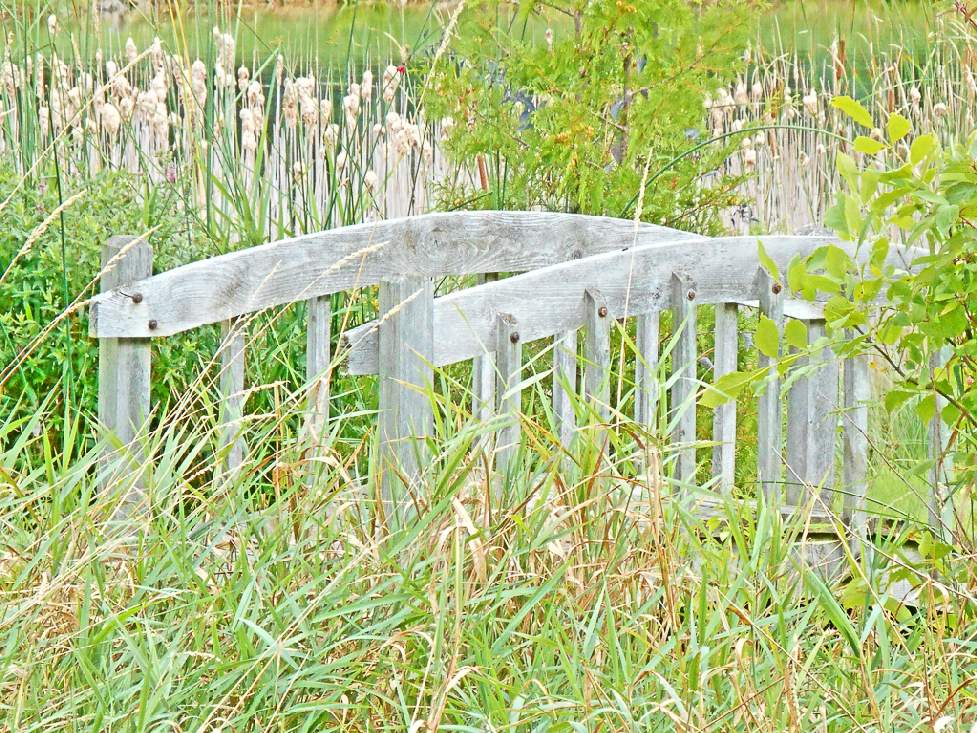 Valley Art Association