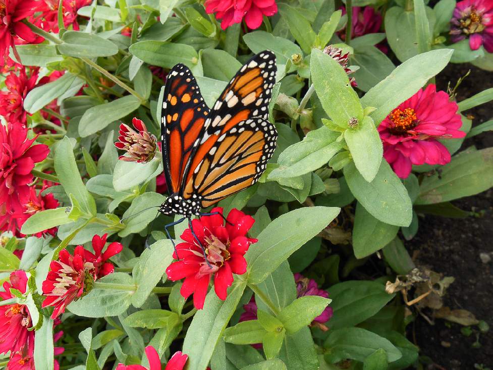 Valley Art Association