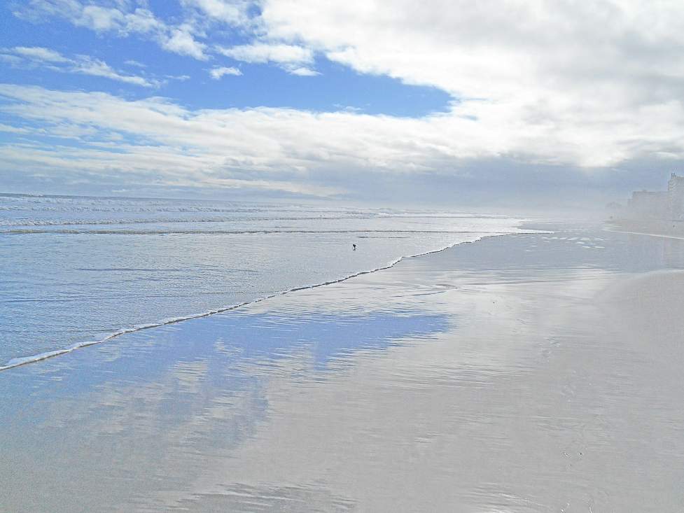 Valley Art Association