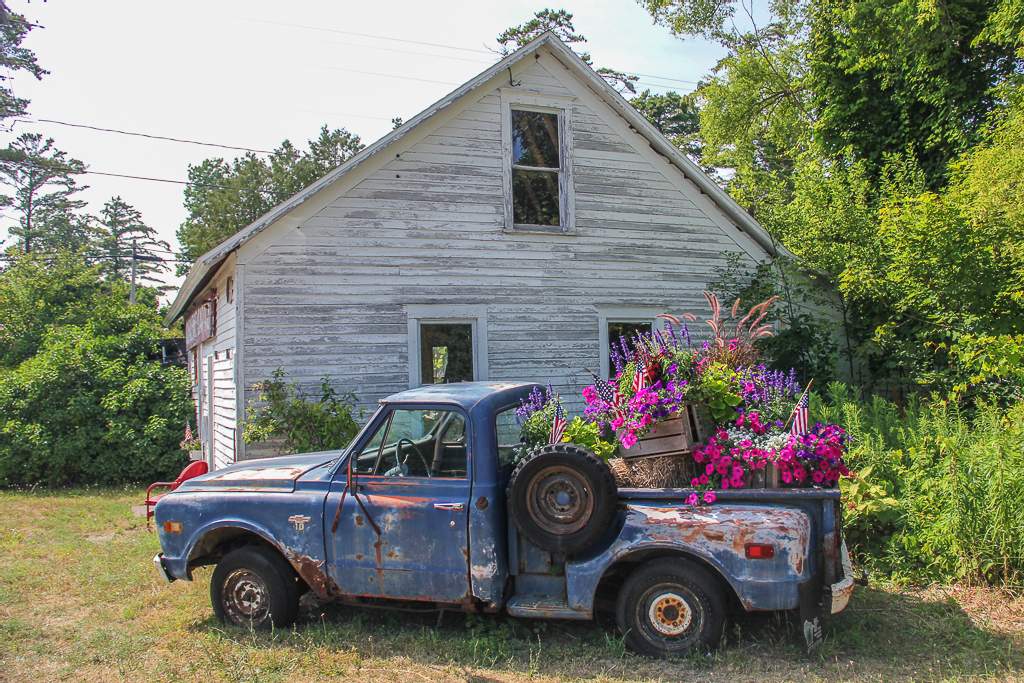 Valley Art Association