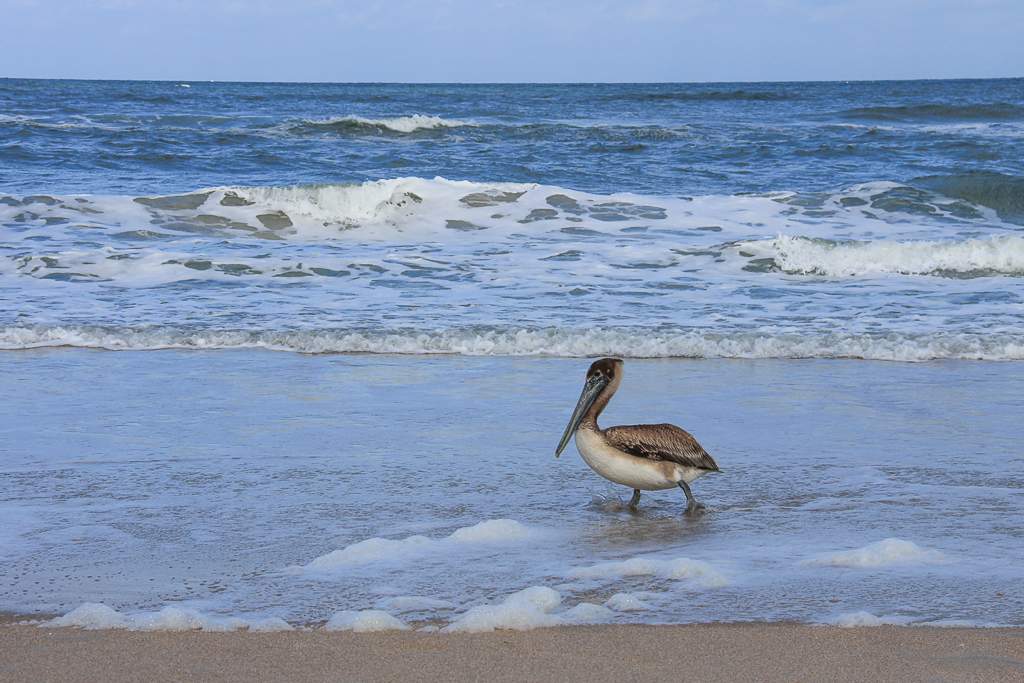 Valley Art Association