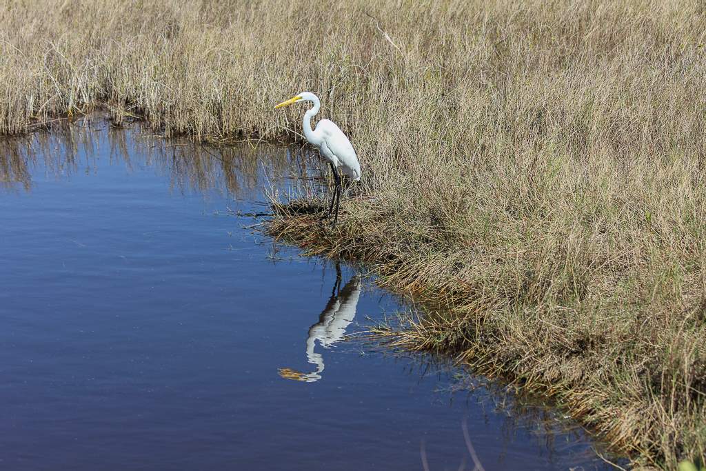 Valley Art Association
