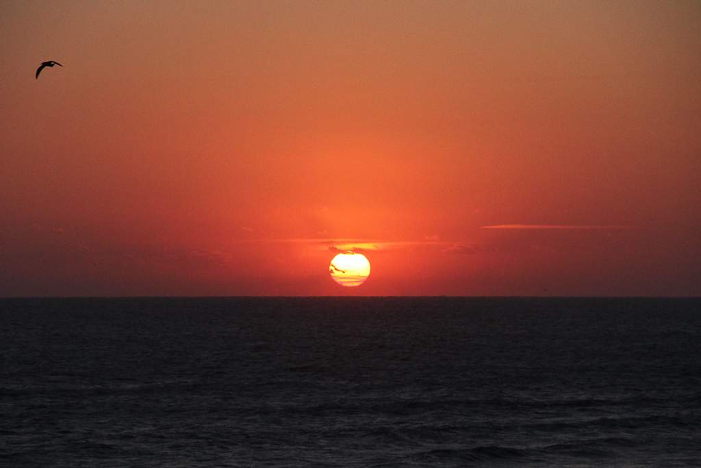 Valley Art Association